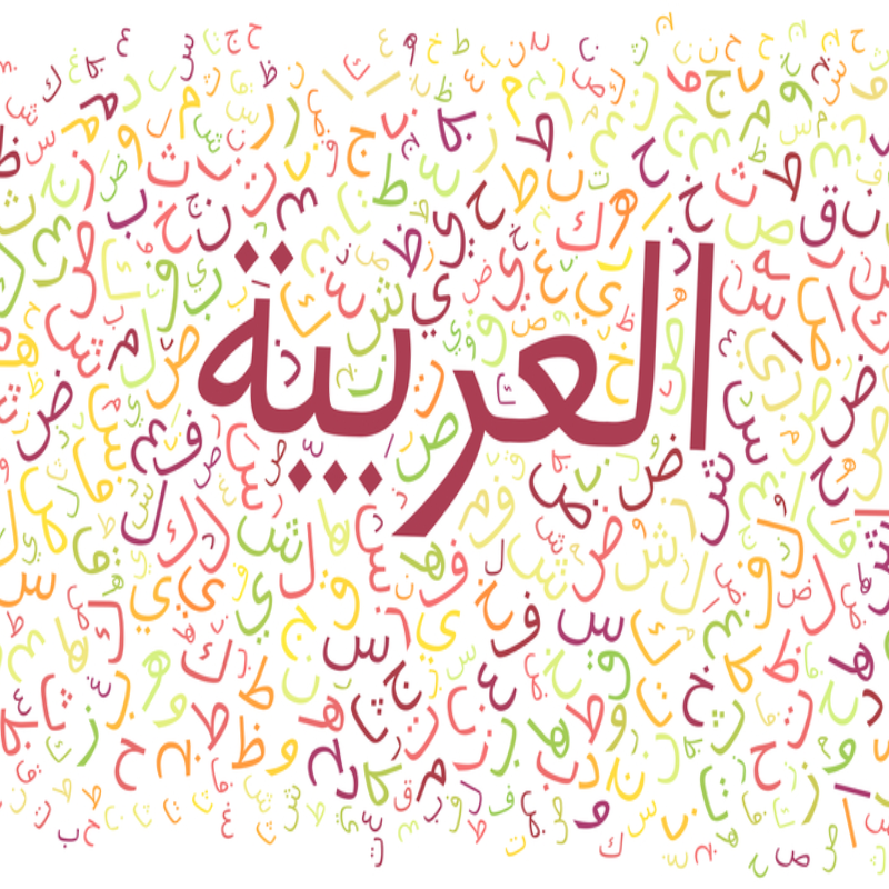 ARABE – Librairie Elite